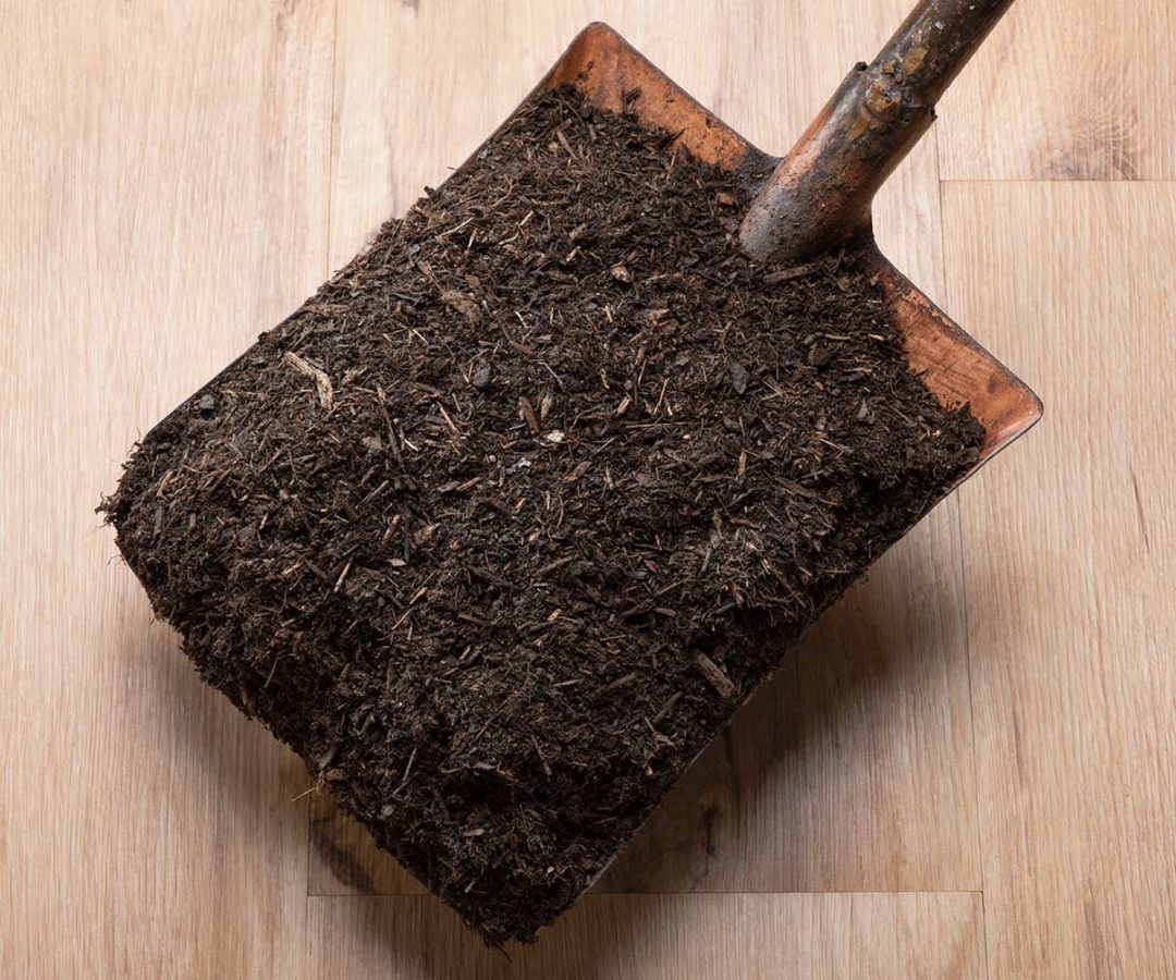 Jeffries Forest Mulch | Forsters Landscape Supplies